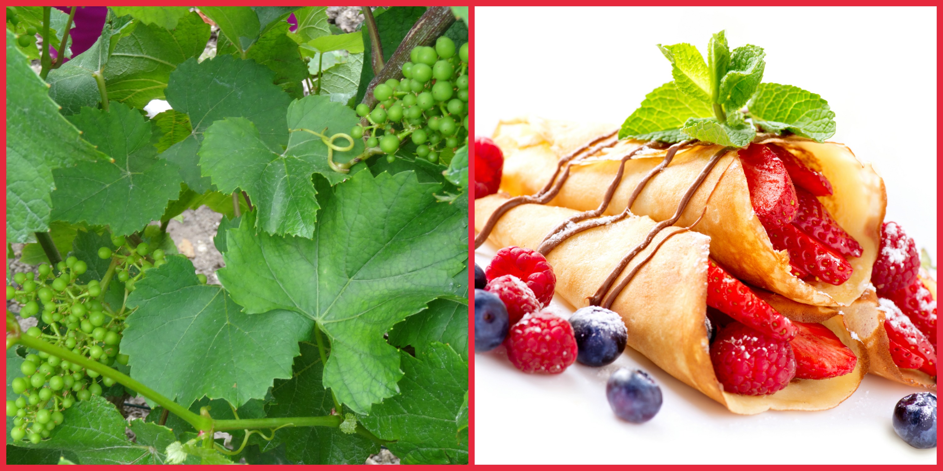 Grapes to Crepes – prestige4travel